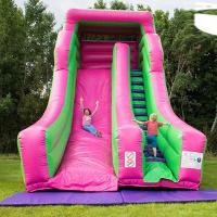 China Large Inflatable Dry Slide in Customized Color for Commercial Occasion at Water Park for sale