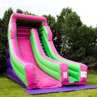 China Large Inflatable Dry Slide in Customized Color for Commercial Occasion at Water Park for sale