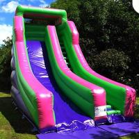 China Large Inflatable Dry Slide in Customized Color for Commercial Occasion at Water Park for sale
