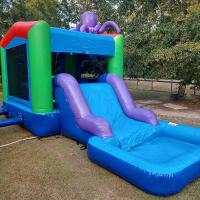China 0.55mm Plato PVC Tarpaulin Inflatable Combo Castle Slide and Pool for Kids Party Play for sale