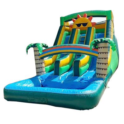 China Outdoor Aqua Fun Commercial PVC Sun Theme Inflatable Water Slide with Dual Lane Pool for sale