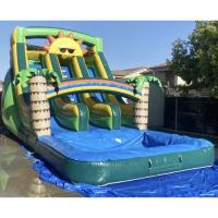 China Outdoor Aqua Fun Commercial PVC Sun Theme Inflatable Water Slide with Dual Lane Pool for sale