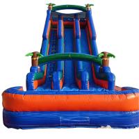 China Palm Tree Orange Water Slide Inflatable Double Slip n Slide and Pool for Backyard Fun for sale