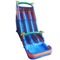 China Palm Tree Orange Water Slide Inflatable Double Slip n Slide and Pool for Backyard Fun for sale