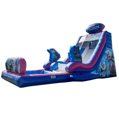 China Max Capacity 100-500kg Inflatable Frozen Themed Bounce House Water Slide with Big Pool for sale