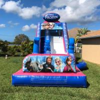 China Max Capacity 100-500kg Inflatable Frozen Themed Bounce House Water Slide with Big Pool for sale