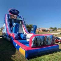 China Max Capacity 100-500kg Inflatable Frozen Themed Bounce House Water Slide with Big Pool for sale