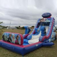 China Max Capacity 100-500kg Inflatable Frozen Themed Bounce House Water Slide with Big Pool for sale