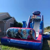 China Max Capacity 100-500kg Inflatable Frozen Themed Bounce House Water Slide with Big Pool for sale
