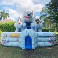 China Indoor Commercial Huge Artic Plunge Inflatable Water Slide with Dual Lane Air Slide for sale
