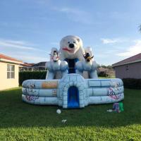 China Indoor Commercial Huge Artic Plunge Inflatable Water Slide with Dual Lane Air Slide for sale
