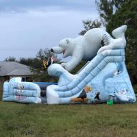 China Indoor Commercial Huge Artic Plunge Inflatable Water Slide with Dual Lane Air Slide for sale