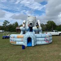 China Indoor Commercial Huge Artic Plunge Inflatable Water Slide with Dual Lane Air Slide for sale