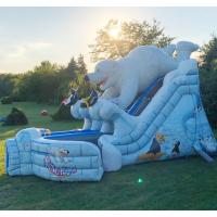 China Indoor Commercial Huge Artic Plunge Inflatable Water Slide with Dual Lane Air Slide for sale