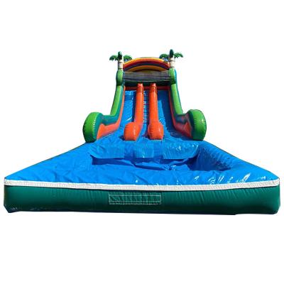 China Max Capacity 100-500kg Dual Lane Inflatable Water Park with Pool and Palm Tree Slide for sale