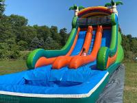 China Max Capacity 100-500kg Dual Lane Inflatable Water Park with Pool and Palm Tree Slide for sale