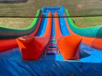 China Max Capacity 100-500kg Dual Lane Inflatable Water Park with Pool and Palm Tree Slide for sale