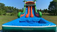 China Max Capacity 100-500kg Dual Lane Inflatable Water Park with Pool and Palm Tree Slide for sale