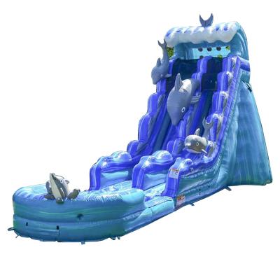 China Detachable Pool Inflatable Slip n Slide for Children and Adults at Summer Water Park for sale