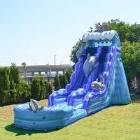 China Detachable Pool Inflatable Slip n Slide for Children and Adults at Summer Water Park for sale