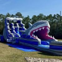 China Customized Size Inflatable Water Slide with Big Shark Slip n Slide and Swimming Pool for sale