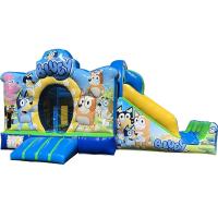 China Commercial Party Rental PVC Bluey Cartoon Bounce Jumping House Castle with Slide for sale
