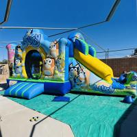 China Commercial Party Rental PVC Bluey Cartoon Bounce Jumping House Castle with Slide for sale