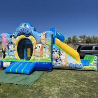 China Commercial Party Rental PVC Bluey Cartoon Bounce Jumping House Castle with Slide for sale