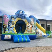 China Commercial Party Rental PVC Bluey Cartoon Bounce Jumping House Castle with Slide for sale