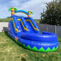 China Small Water Slide Inflatable with Pool Summer Palm Tree Klein Blue Kid Toys Slide Game for sale