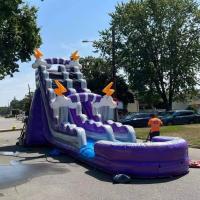 China Kid Toys Game Summer Inflatable Water Park with Pool and Purple Water Slide for sale