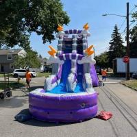 China Kid Toys Game Summer Inflatable Water Park with Pool and Purple Water Slide for sale