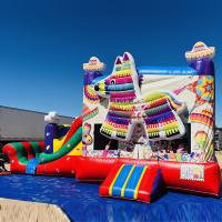 China PORTABLE PVC Rainbow Puppy Inflatable Bounce House with Slide Combo Pool Jumpers Castle for sale