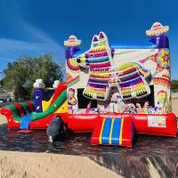 China PORTABLE PVC Rainbow Puppy Inflatable Bounce House with Slide Combo Pool Jumpers Castle for sale