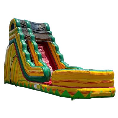 China Adult Size Commercial PVC Jungle Symphony Water Slide Inflatable with Swimming Pool for sale