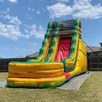 China Adult Size Commercial PVC Jungle Symphony Water Slide Inflatable with Swimming Pool for sale