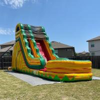 China Adult Size Commercial PVC Jungle Symphony Water Slide Inflatable with Swimming Pool for sale