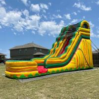 China Adult Size Commercial PVC Jungle Symphony Water Slide Inflatable with Swimming Pool for sale