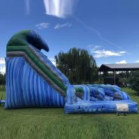 China Outdoor Water Park Huge Wave Shape Inflatable Dry Slide with Double Slides in Blue PVC for sale