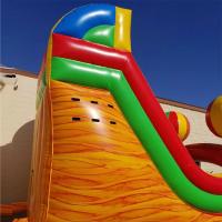 China Shipping by Sea Air or Express Enjoy Outdoor Fun with 2024 26ft Commercial PVC Inflatable Rainbow Slide for sale