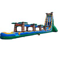 China Extra Long Palm Tree Inflatable Slide Combo with Pool Must-Experience at Aquatic Park for sale