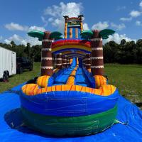 China Extra Long Palm Tree Inflatable Slide Combo with Pool Must-Experience at Aquatic Park for sale