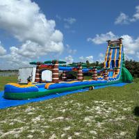 China Extra Long Palm Tree Inflatable Slide Combo with Pool Must-Experience at Aquatic Park for sale