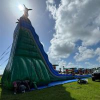 China Extra Long Palm Tree Inflatable Slide Combo with Pool Must-Experience at Aquatic Park for sale