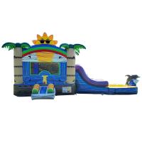 China Unisex 27FT Commercial PVC Sun Castle with Slide Inflatable Bouncy Castle and Dual Lane Pool for sale