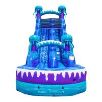 China Outdoor Park Amusement Equipment 36ft Colorful Inflatable Water Slide with Swimming Pool for sale