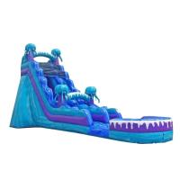 China Outdoor Park Amusement Equipment 36ft Colorful Inflatable Water Slide with Swimming Pool for sale
