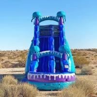 China Outdoor Park Amusement Equipment 36ft Colorful Inflatable Water Slide with Swimming Pool for sale