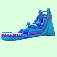 China Outdoor Park Amusement Equipment 36ft Colorful Inflatable Water Slide with Swimming Pool for sale