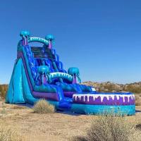 China Outdoor Park Amusement Equipment 36ft Colorful Inflatable Water Slide with Swimming Pool for sale